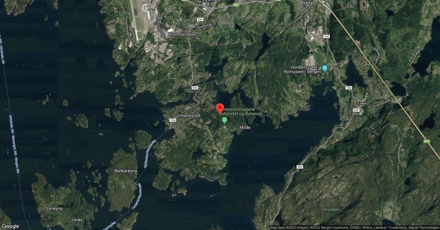Dette er de tredje dyreste kvadratmeterne i Bergen | DN