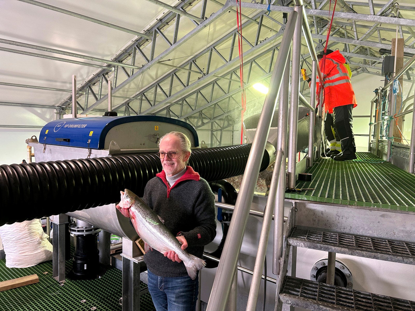 Landbasert oppdrett utfordrer laksebransjen: – Målet er å komme under ...