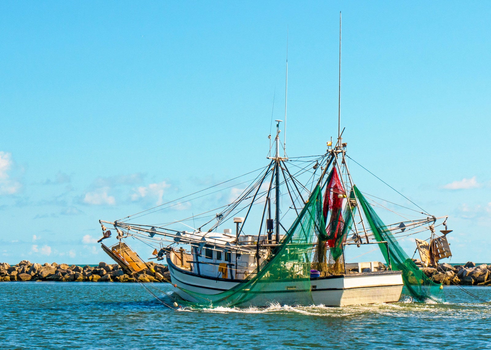 LETTER: US shrimp imports bringing an 'unjust end' to Gulf shrimp ...
