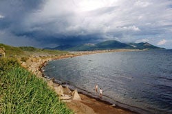 Millennium gains Sakhalin stake | Upstream