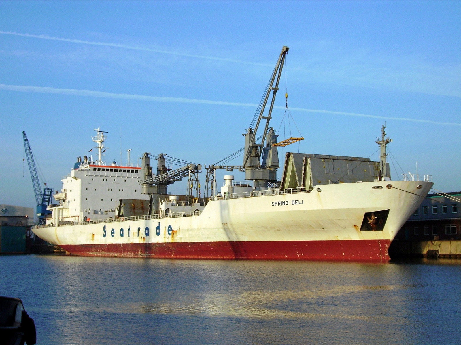 Reefer owner Seatrade agrees $6m settlement to end landmark illegal ...