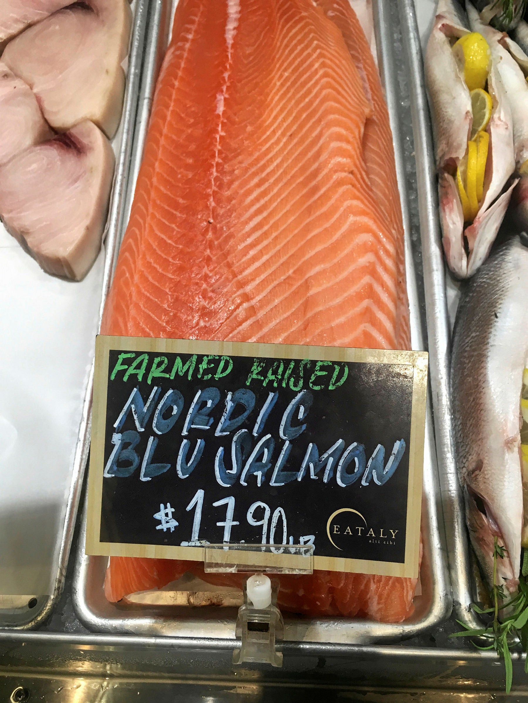 Eataly chooses Nordic Blu salmon for US dining experience | Intrafish