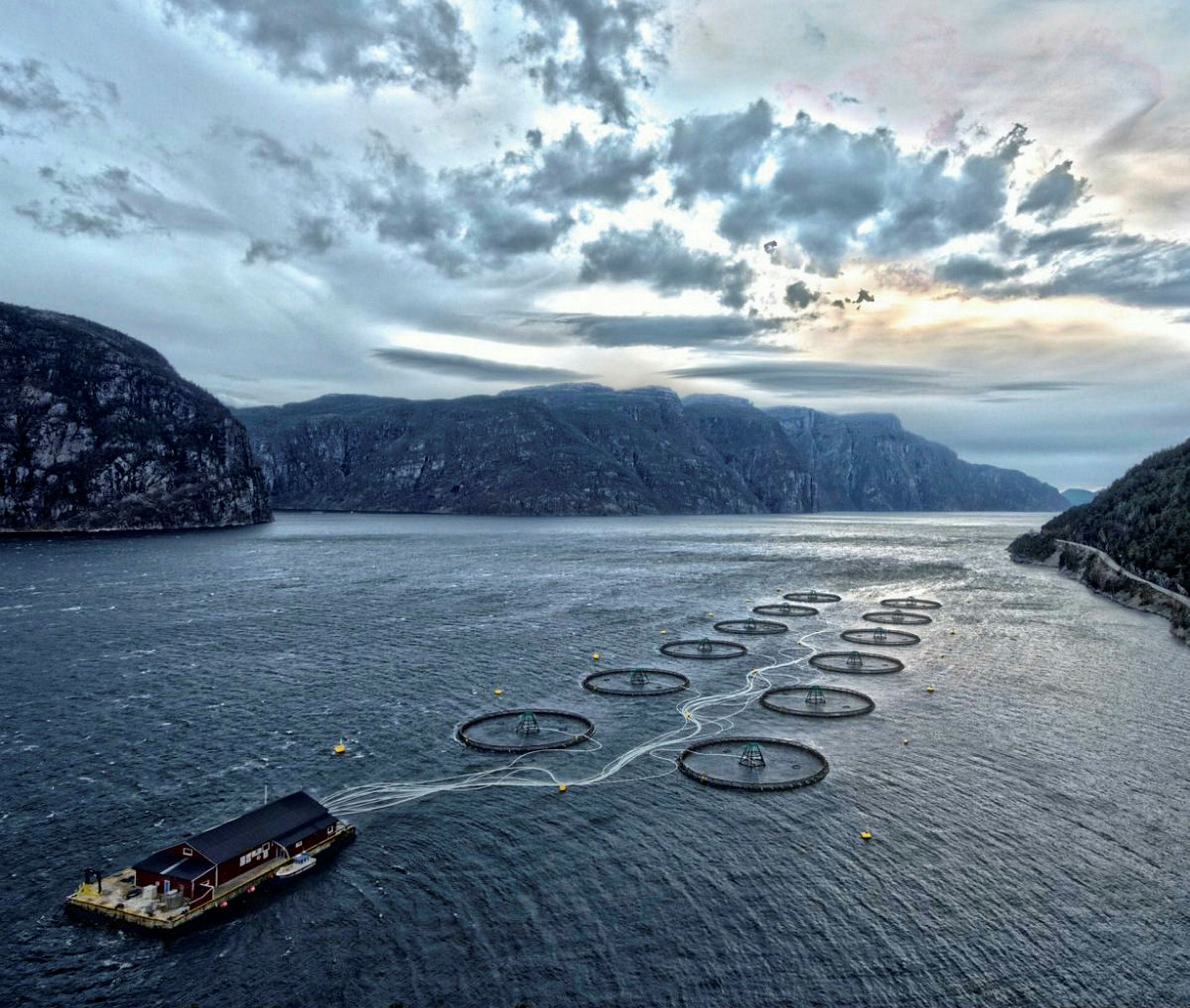 Mowi plans $25 mill investment for four new farms in Ireland | Intrafish