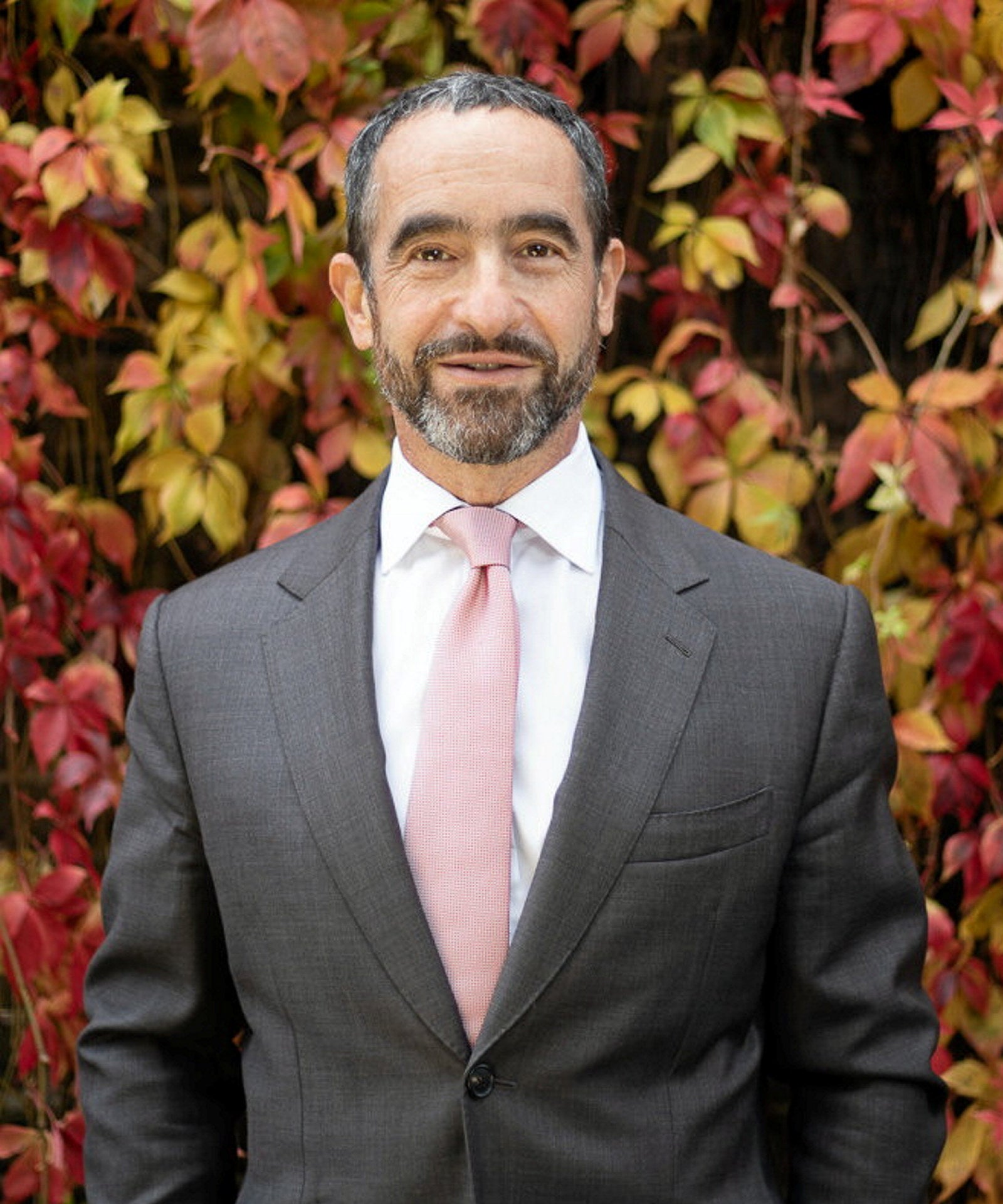 Liebreich: 'Blue hydrogen will be needed because green H2 alone will ...