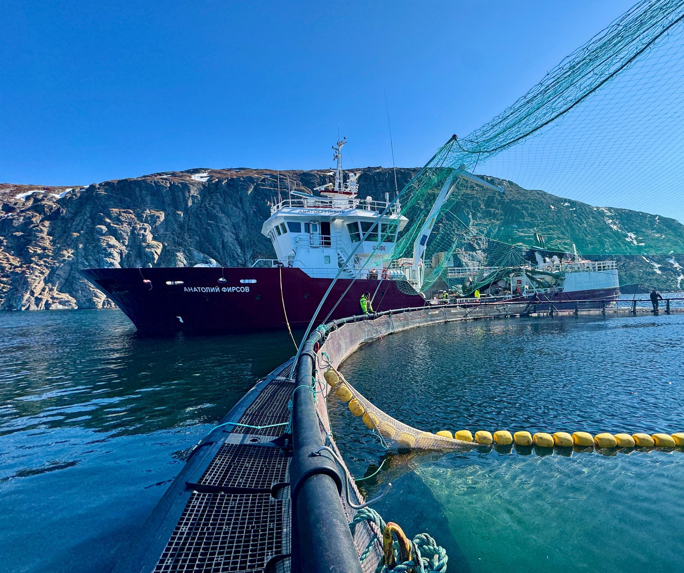 Russia's largest salmon producer raises $40 million to fund feed and ...