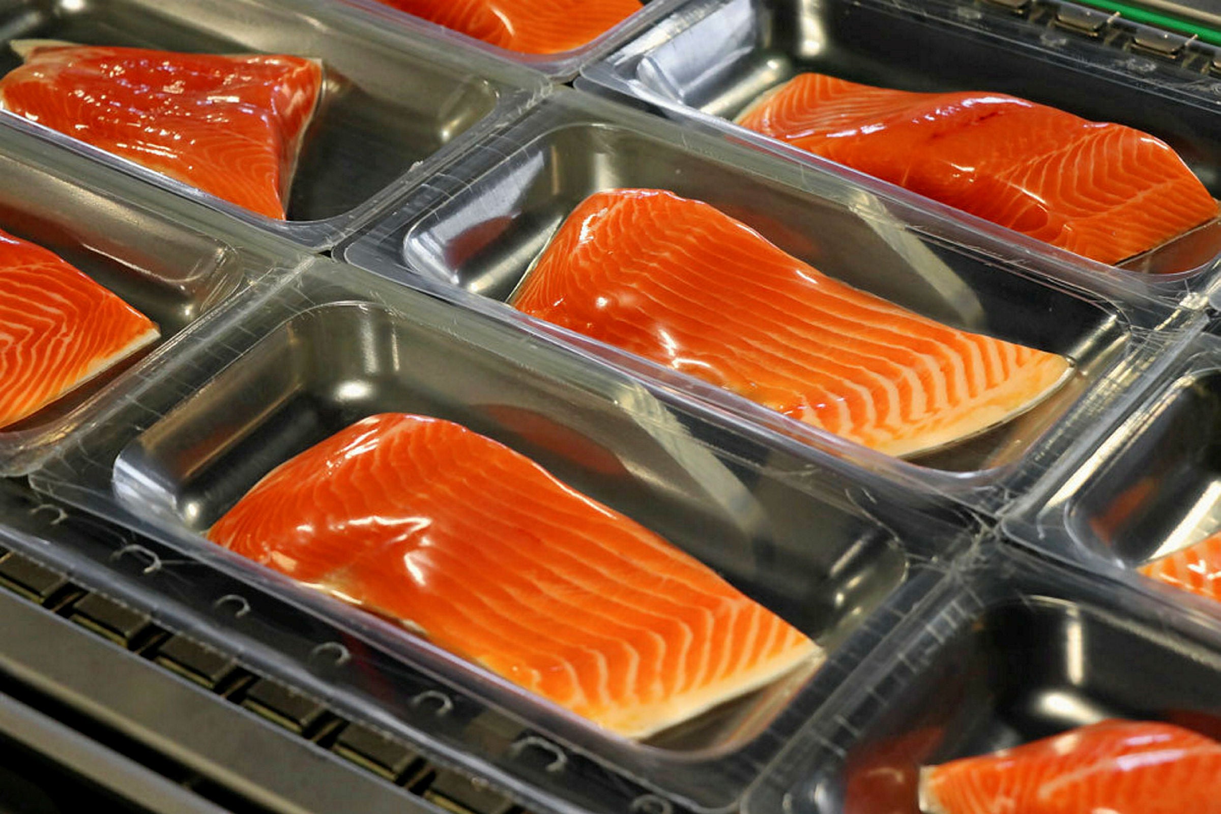 Seachill drops its name to identify with owner | Intrafish