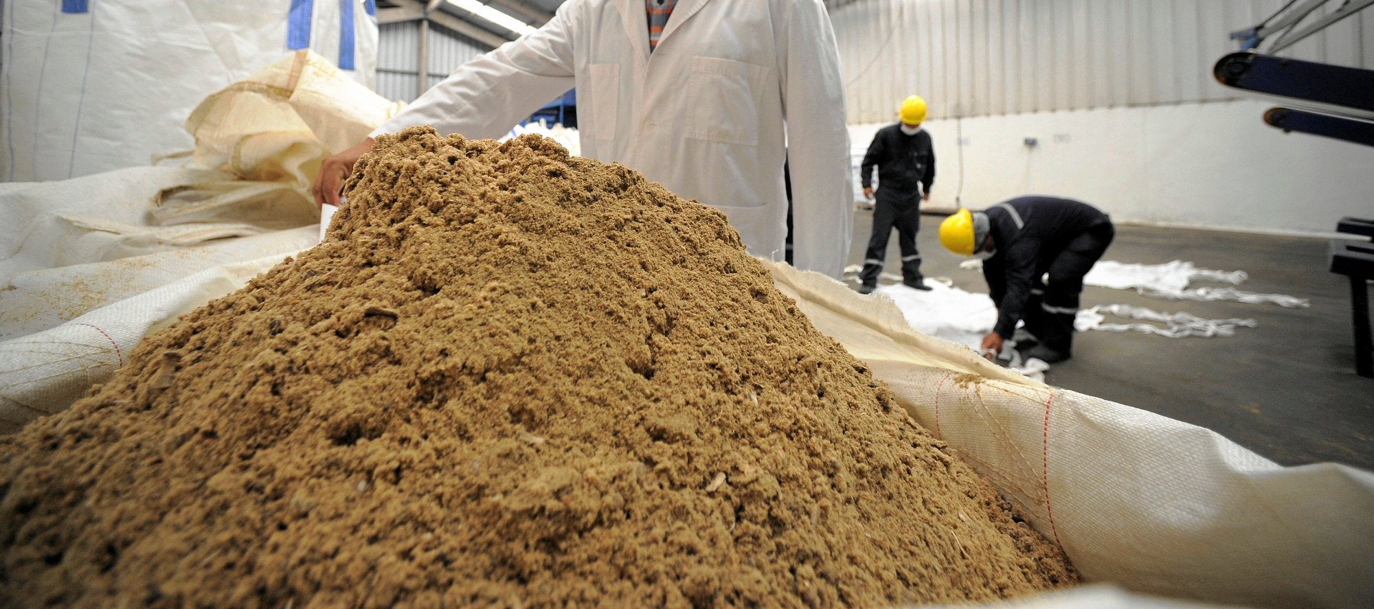 Indefinite anchovy fishery ban ratchets up global fishmeal supply ...