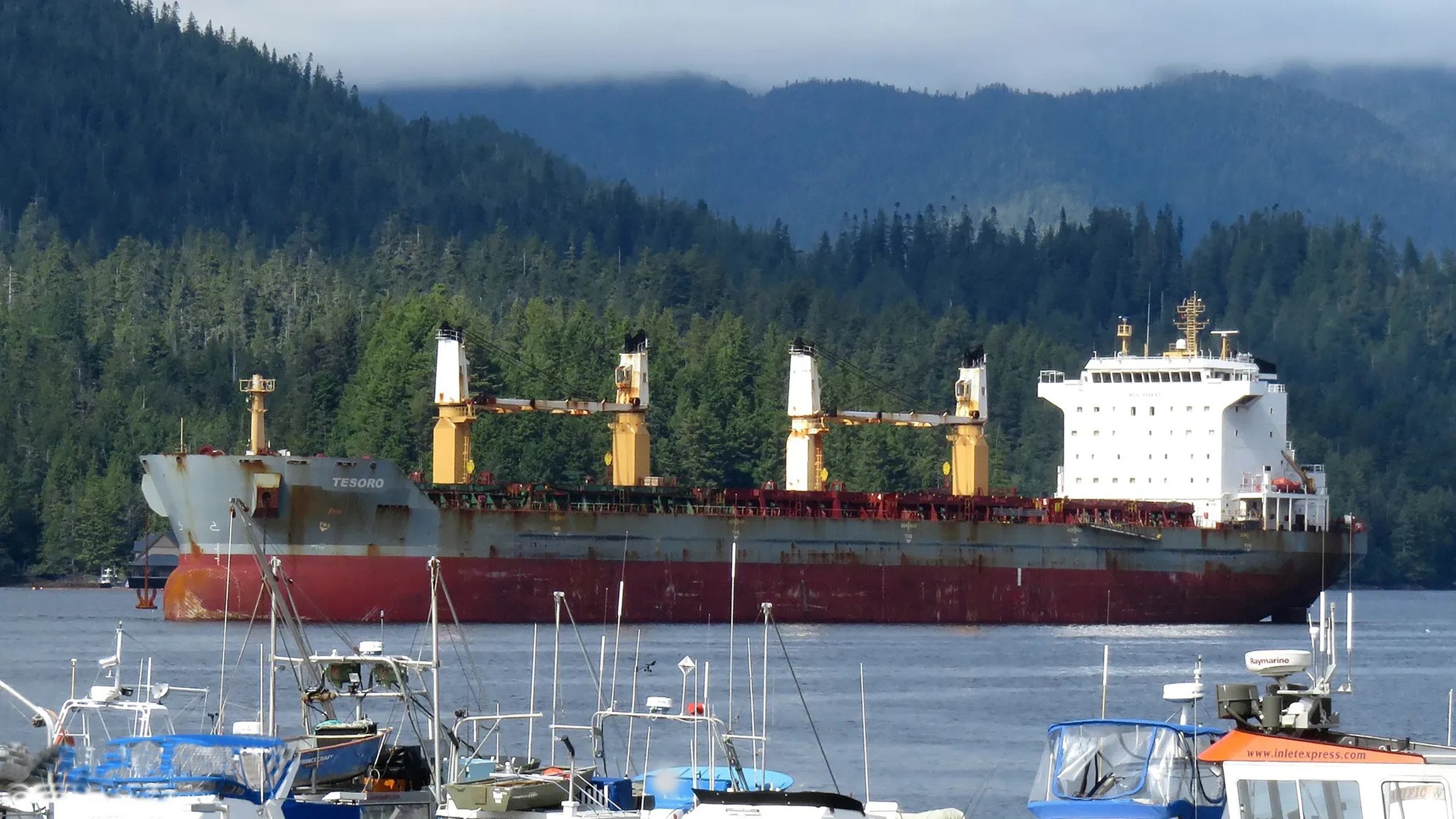 Converted bulkers to be chartered for X-Press Feeders liner service