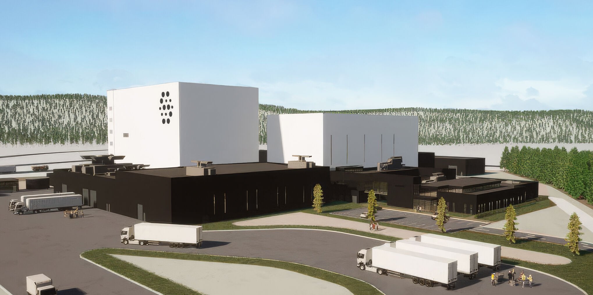 Finnish start-up secures subsidies for green hydrogen-fed microbial ...