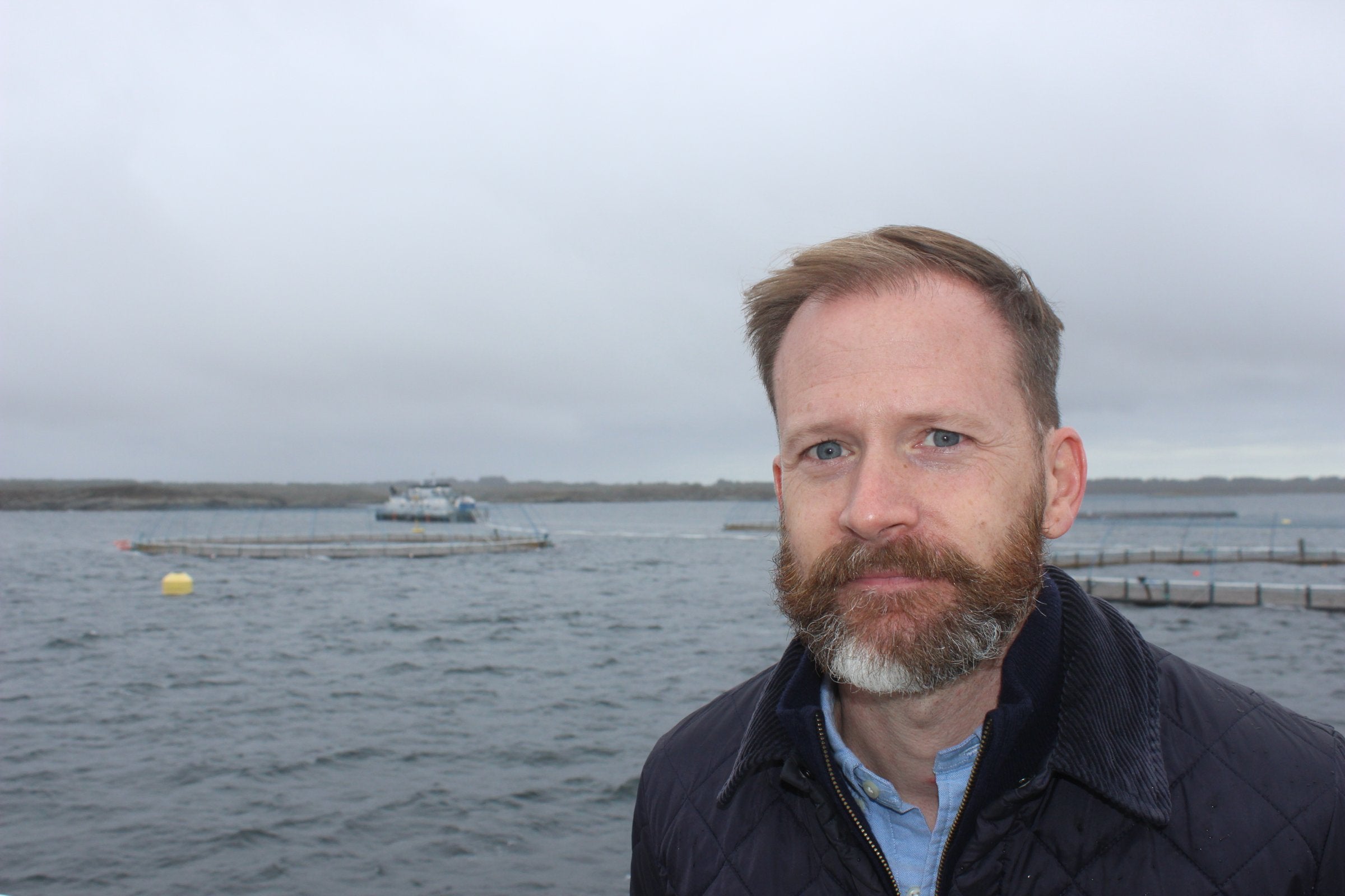 Prodfisk: Derfor har Salmar snudd fra nei til ja. Cermaq ordknapp ...