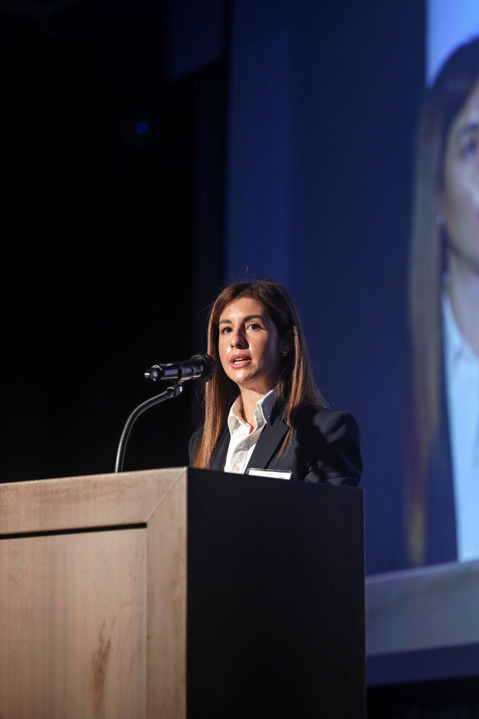 Chara Georgousi: Address the inefficiency of fleet renewal and advance ...