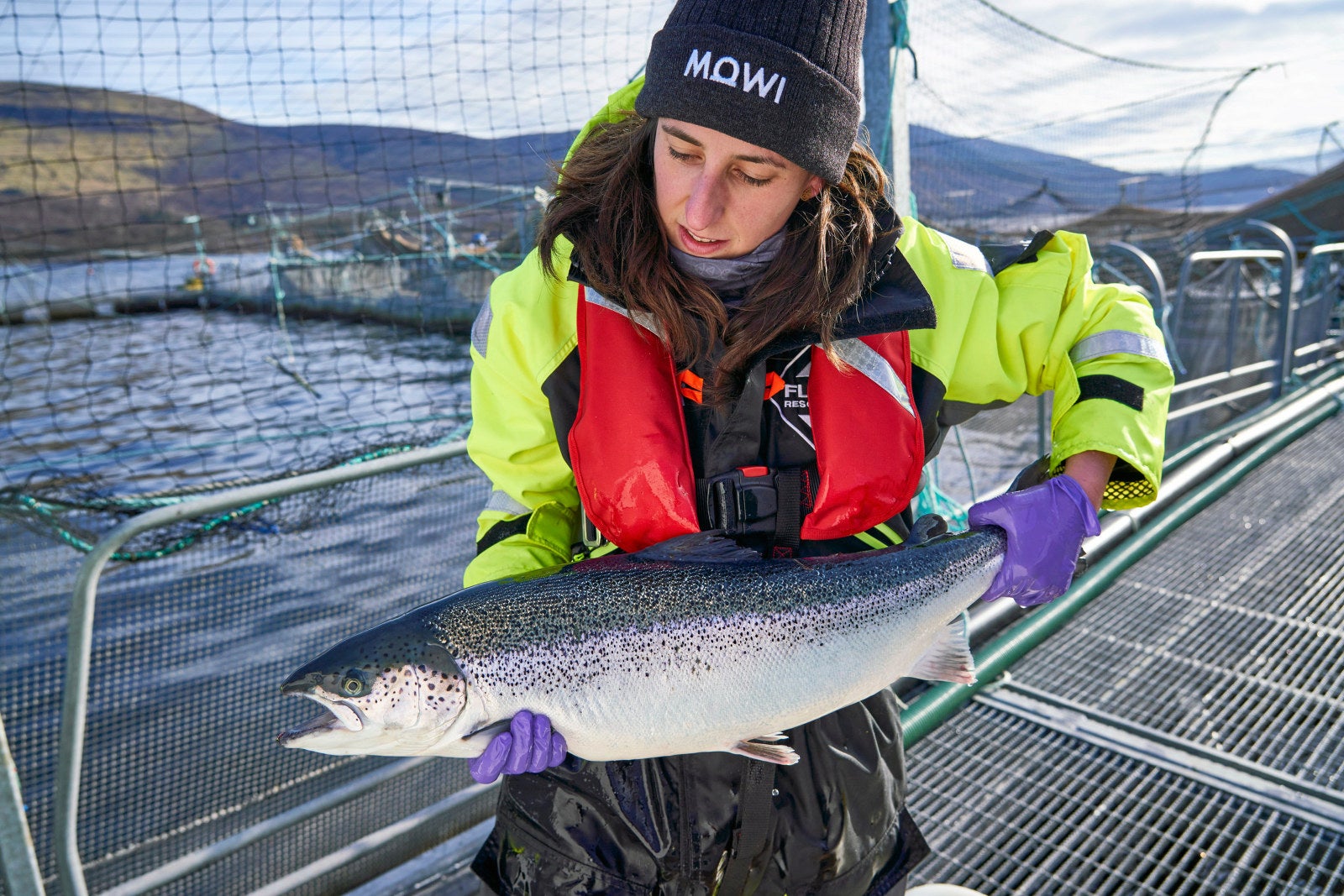 Mowi to cease salmon farming in Scottish loch after 35 years | Intrafish