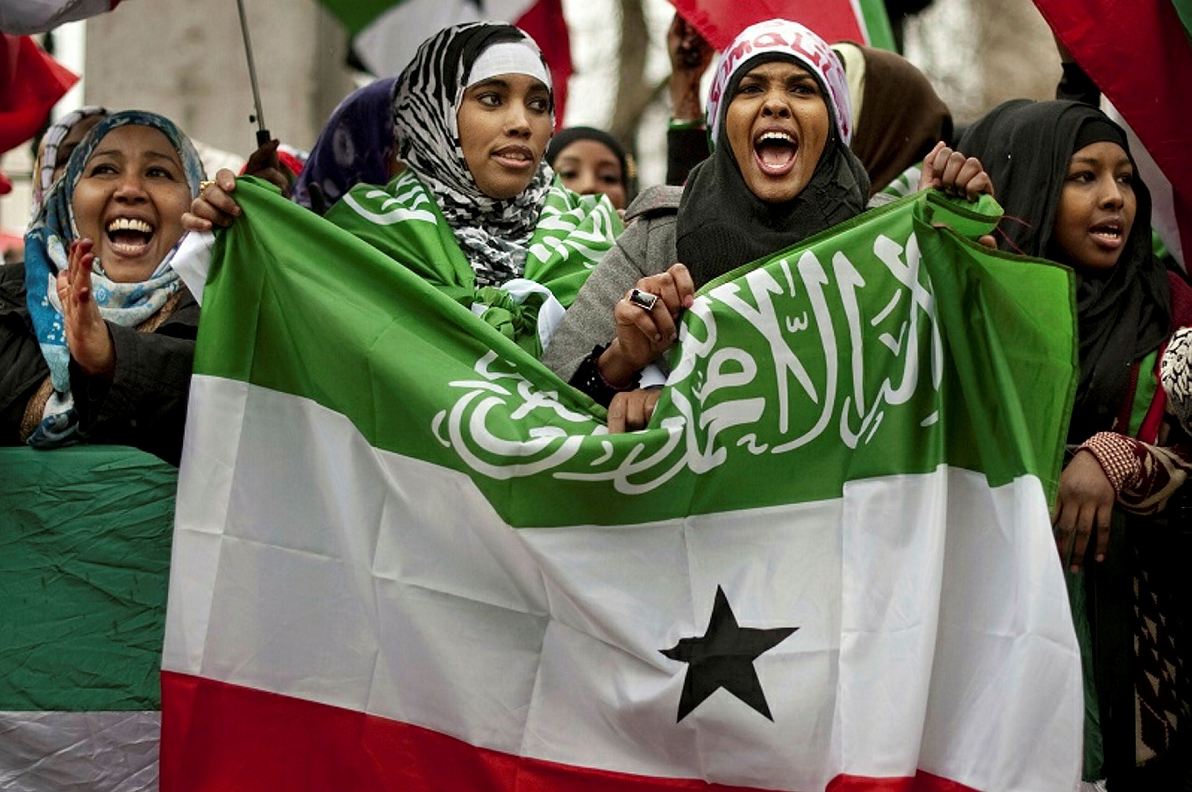 Genel boosts Somaliland block stake | Upstream