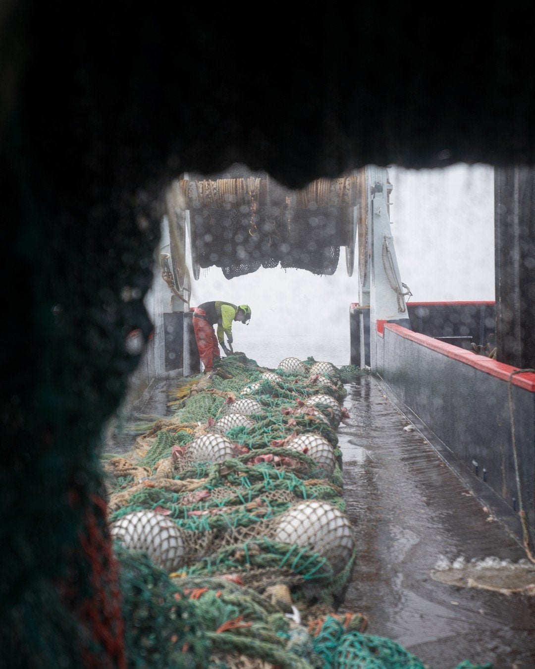 Council makes final decision on Alaska chum salmon bycatch measures ...
