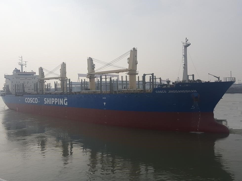 Cosco Shipping Bulk seeks buyers for pair of logger bulkers