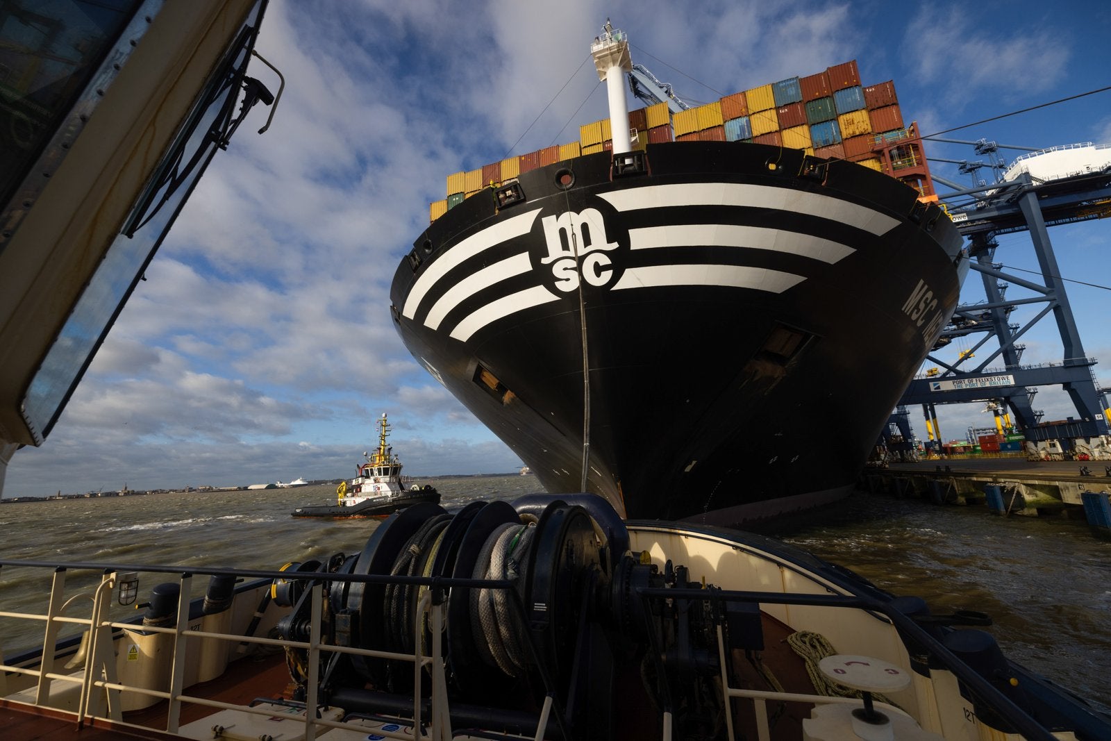 Chinese shipowner banks $20m profit as MSC swoops for newbuilding