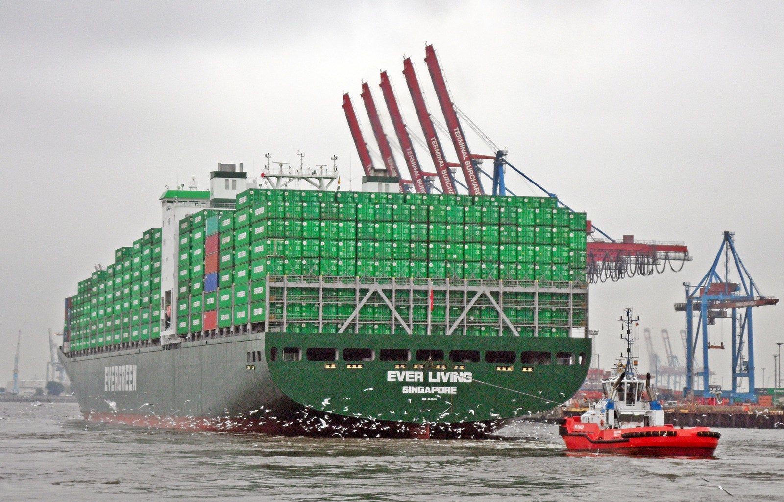 Evergreen pockets ‘remarkable’ sum from sale of ageing container ship
