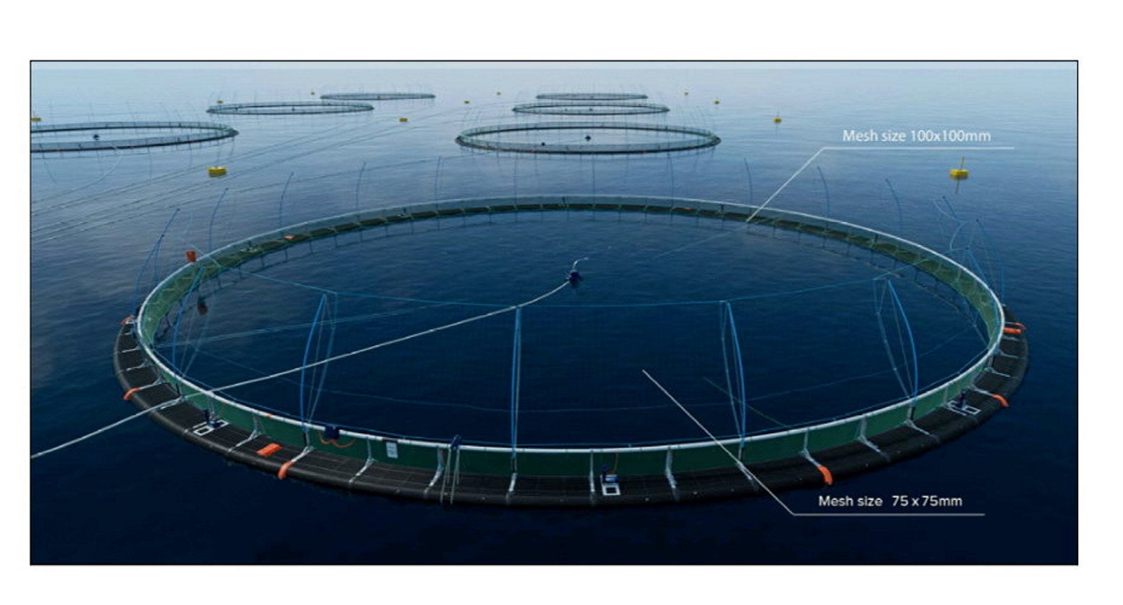 Scottish Sea Farms gets approval for offshore salmon farm | Intrafish