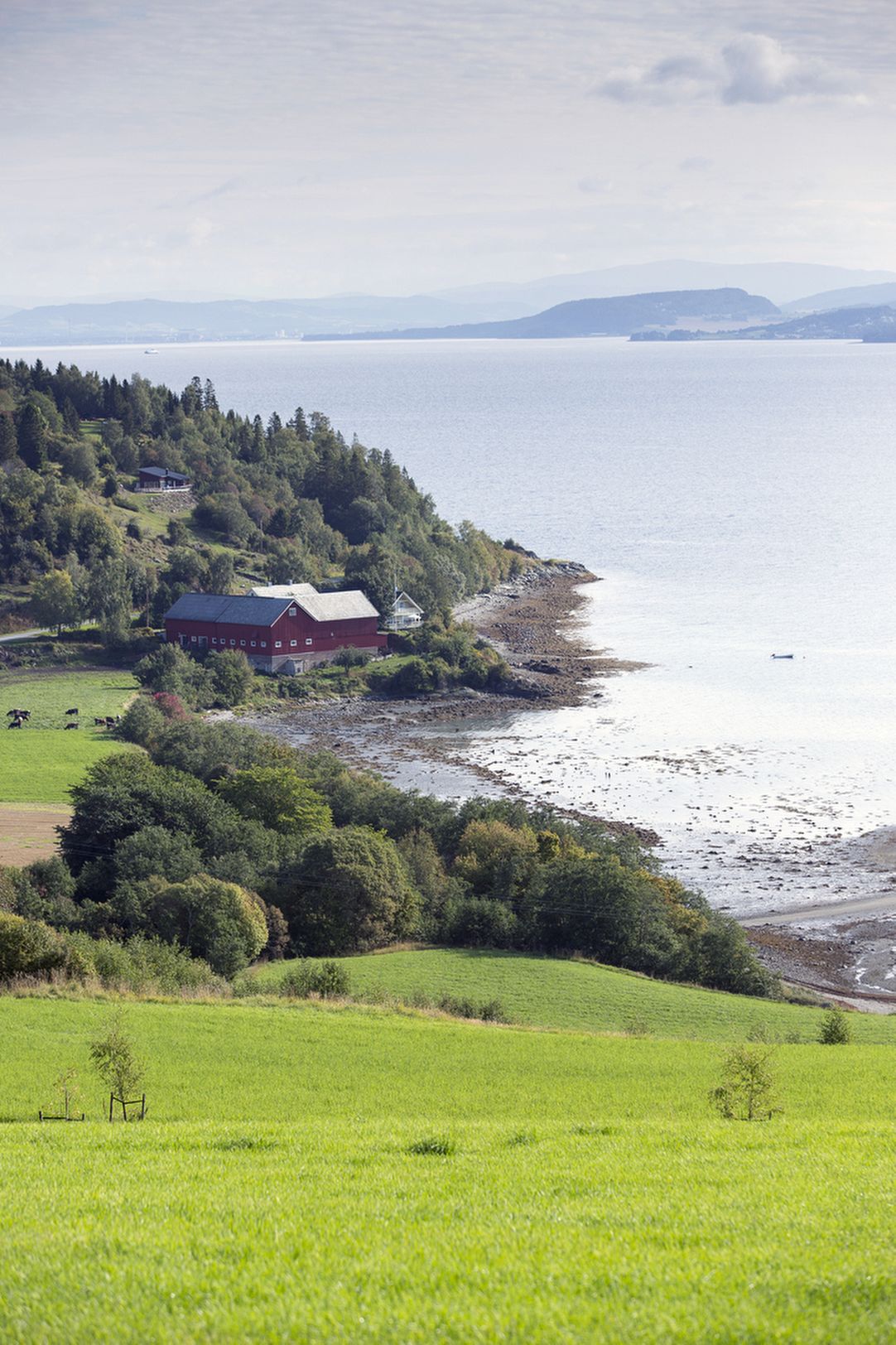 Skal forske på lokale sildestammer i nord | Fiskeribladet