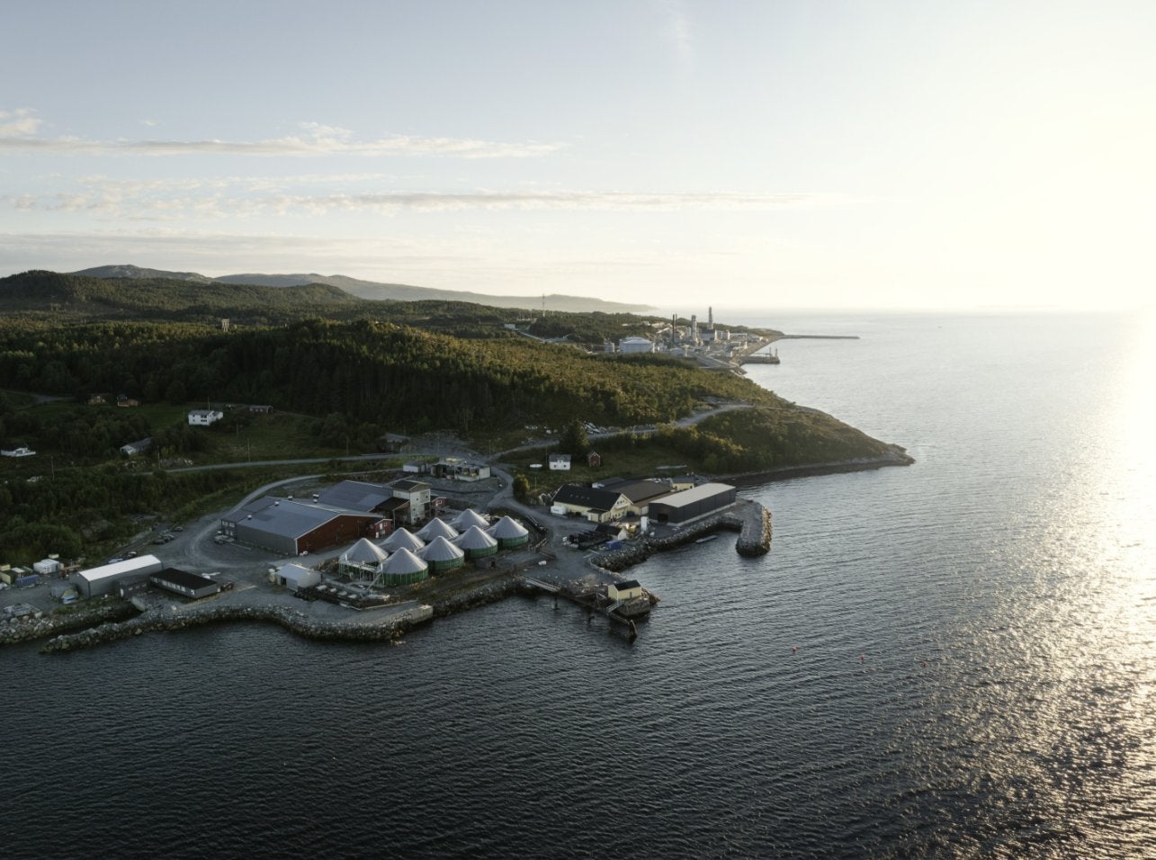 World's largest cod farmer snaps up hatchery | Intrafish