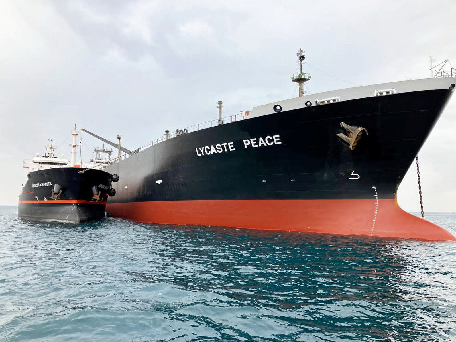 Monjasa eyes South America as it waits for biofuels to move beyond trials